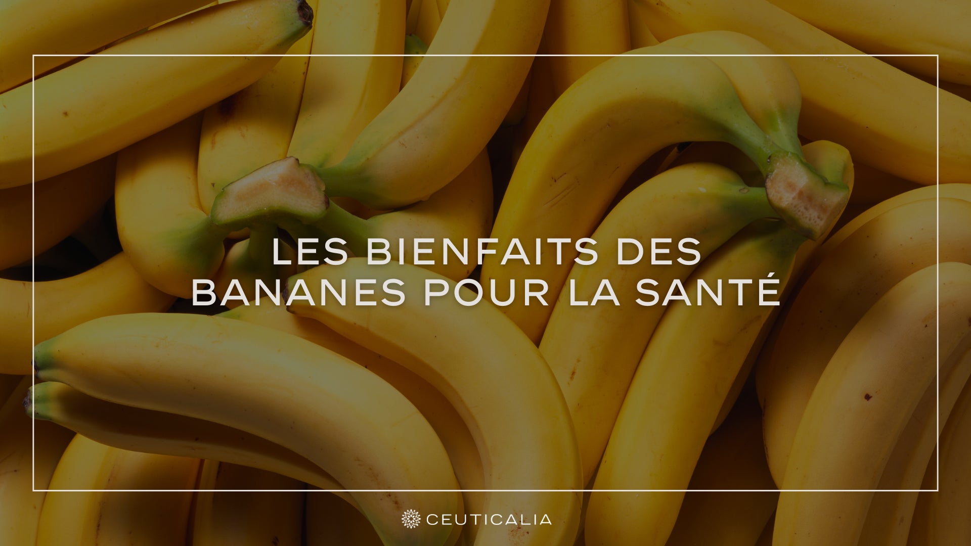 Les Bienfaits des Bananes pour la Santé – Ceuticalia
