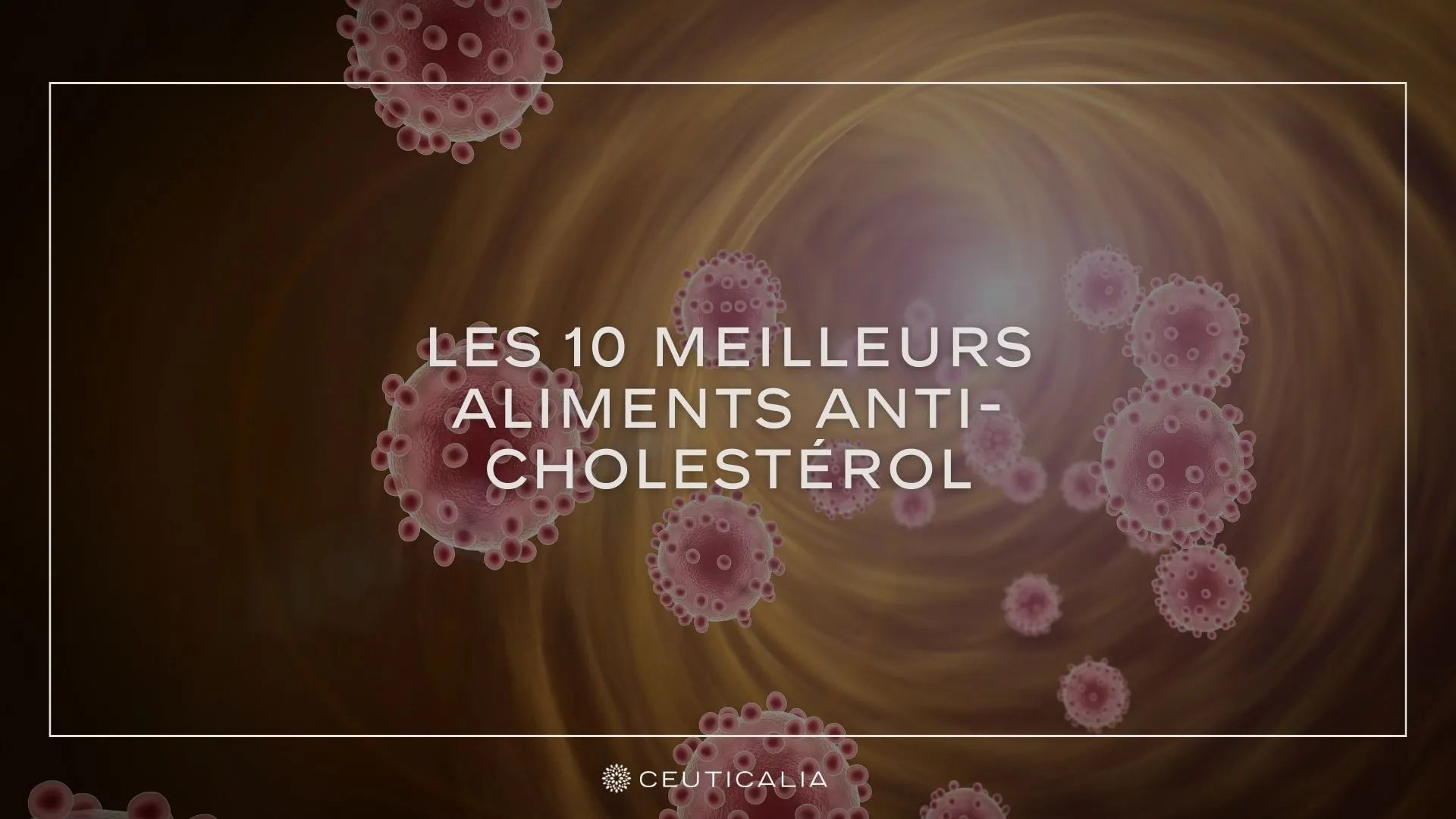10 Meilleurs Aliments Anti-cholestérol – Ceuticalia