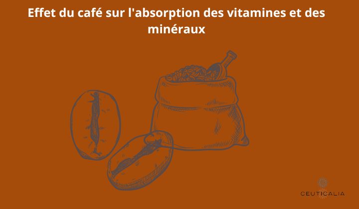 Effet du Café sur l'Absorption des Vitamines et des Minéraux – Ceuticalia