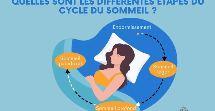 Quelles Sont les Différentes Etapes du Cycle du Sommeil ? – Ceuticalia