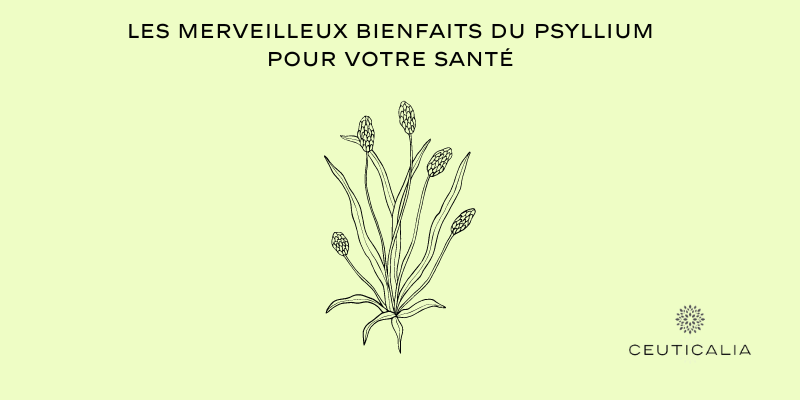 Découvrez les bienfaits du psyllium pour une santé équilibrée – Ceuticalia