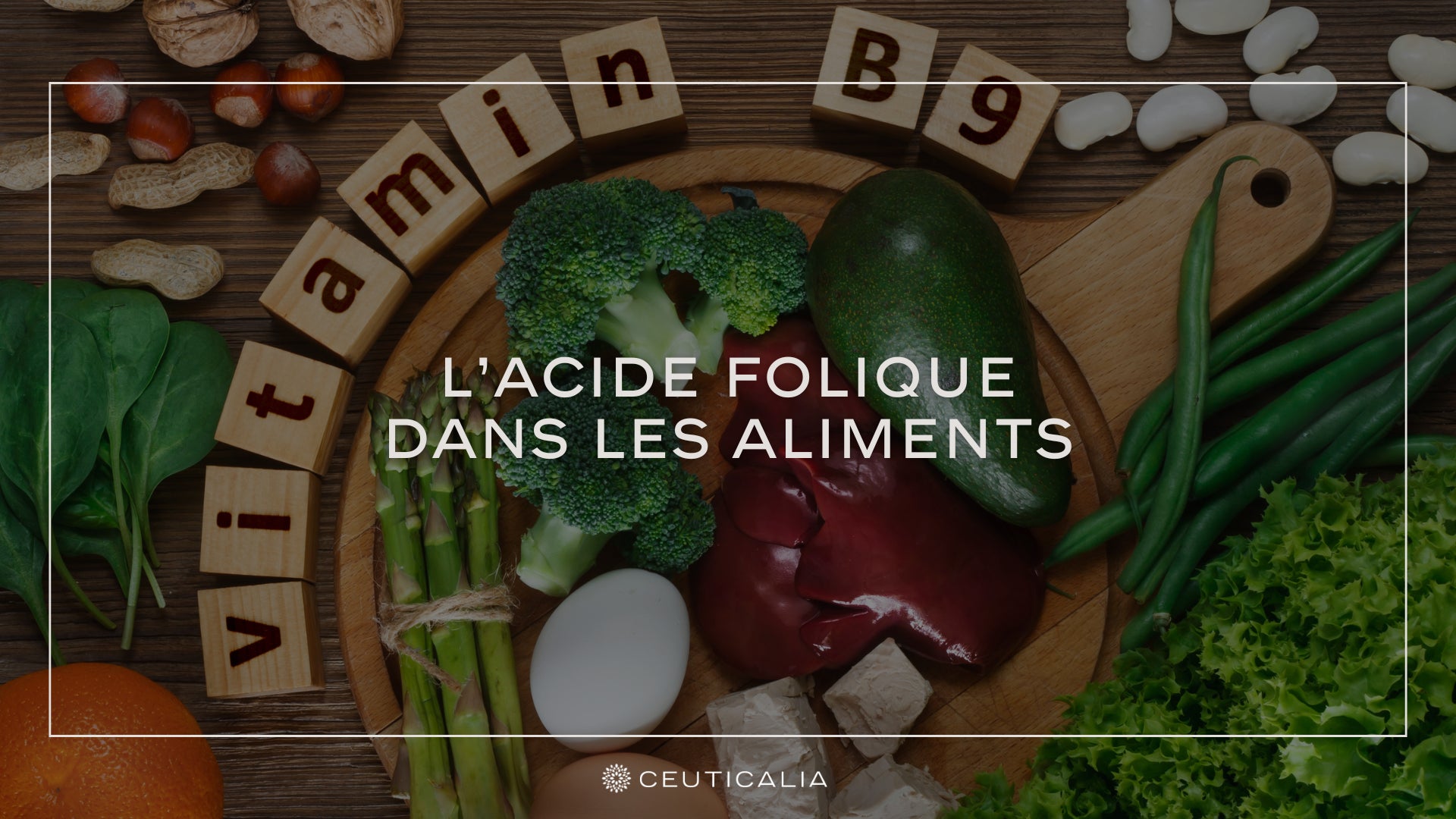 L’Acide Folique dans les Aliments – Ceuticalia