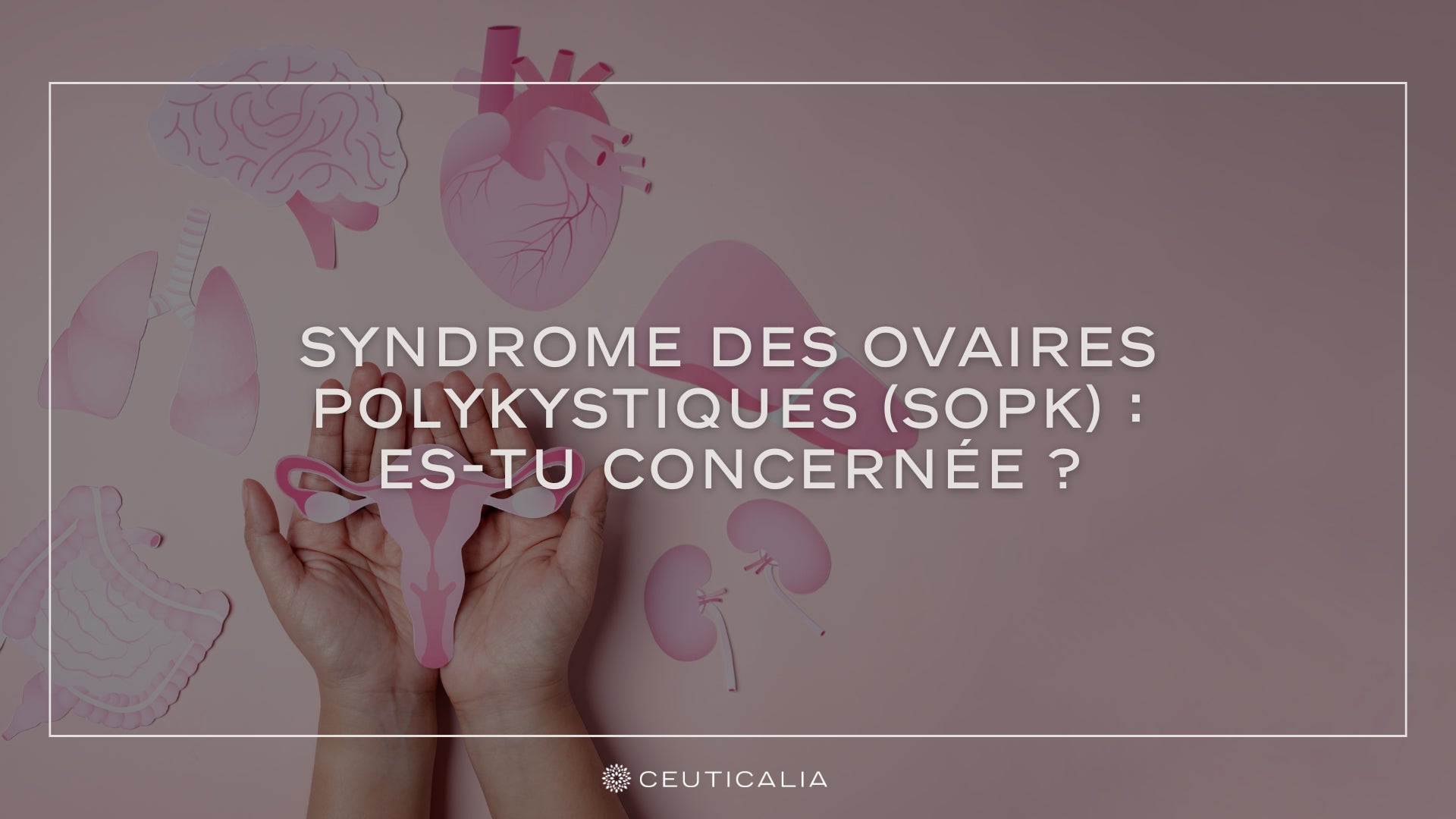 Syndrome des ovaires polykystiques (SOPK) : es-tu concernée ? – Ceuticalia
